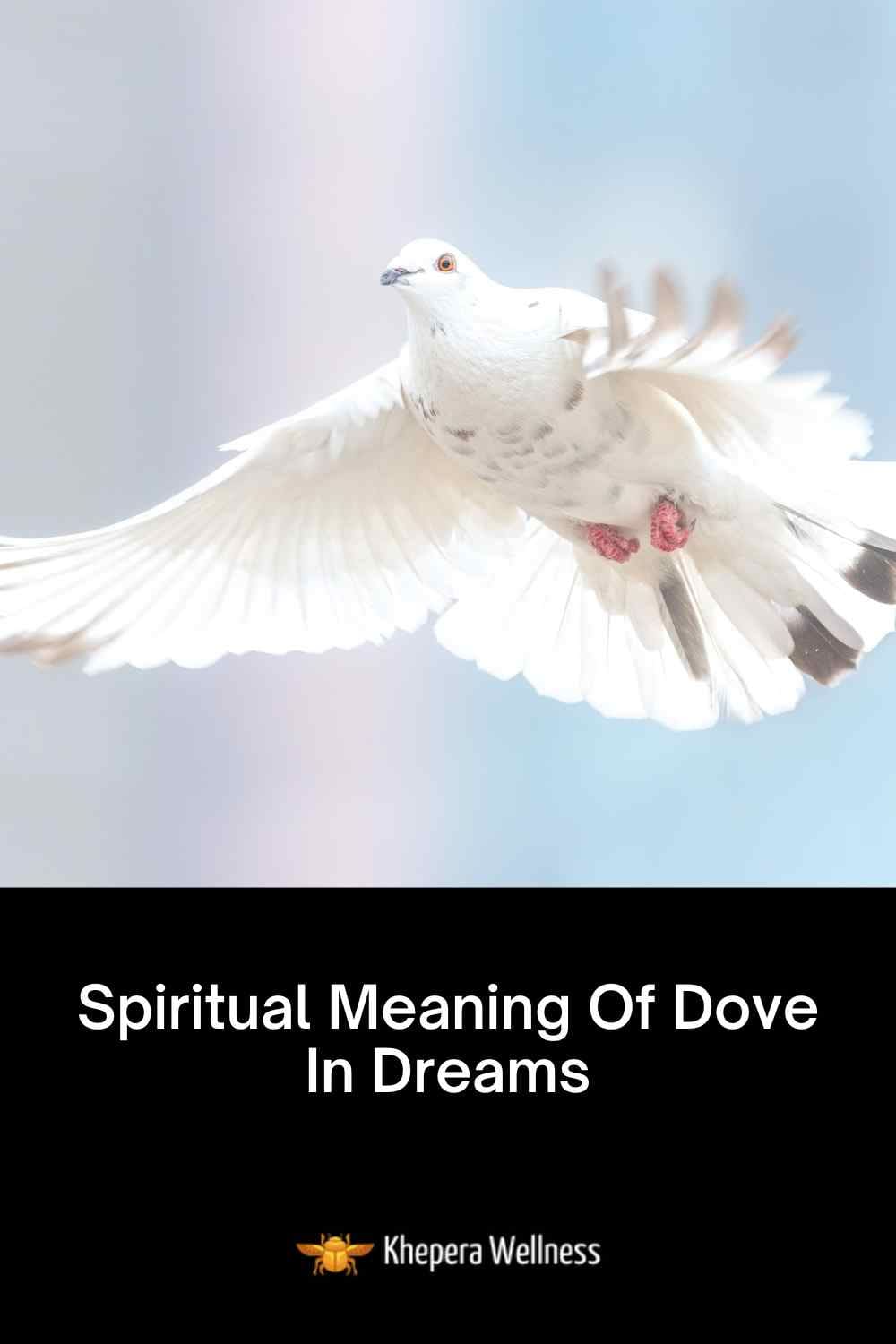 Spiritual Meaning Of Dove In Dreams - 7 Powerful Messages